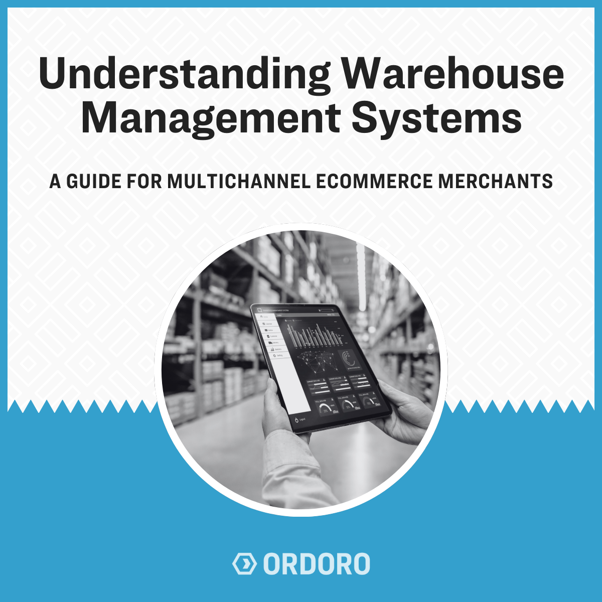 Warehouse Management System for Ecommerce | WMS Guide