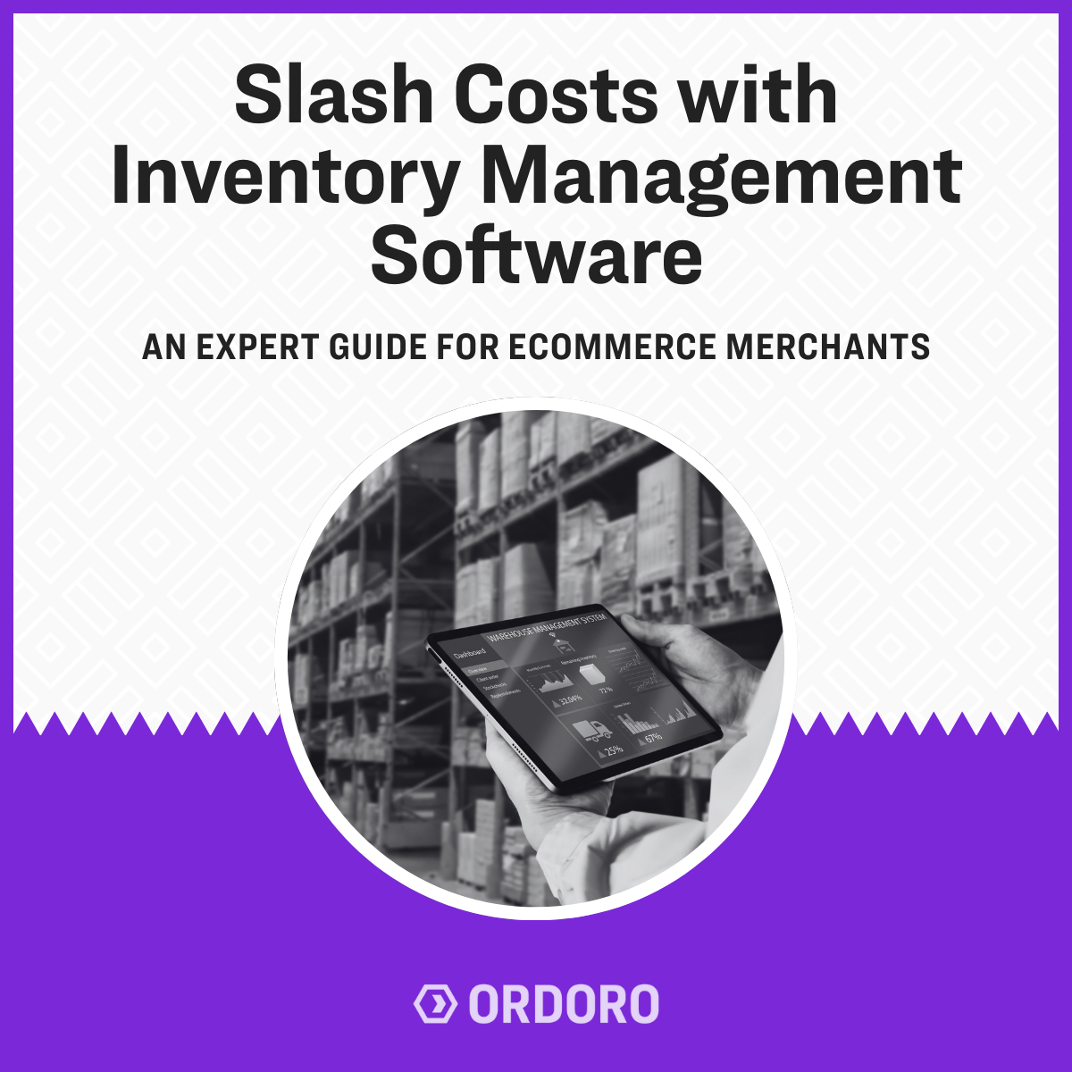 Cut Costs with Inventory Management Software for eCommerce